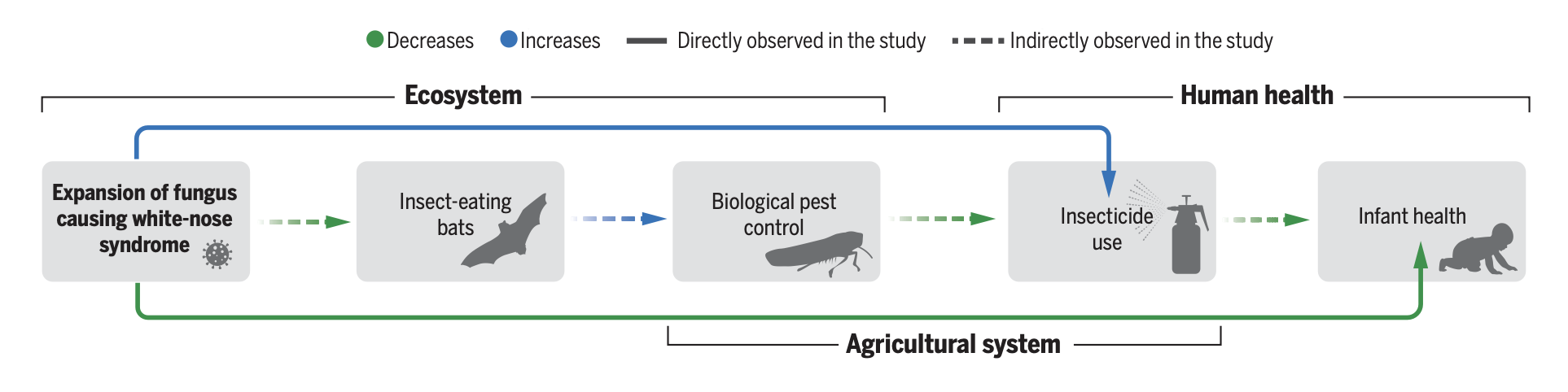 The Desperation of Causal Inference in Ecology | Statistical Modeling, Causal Inference, and ...
